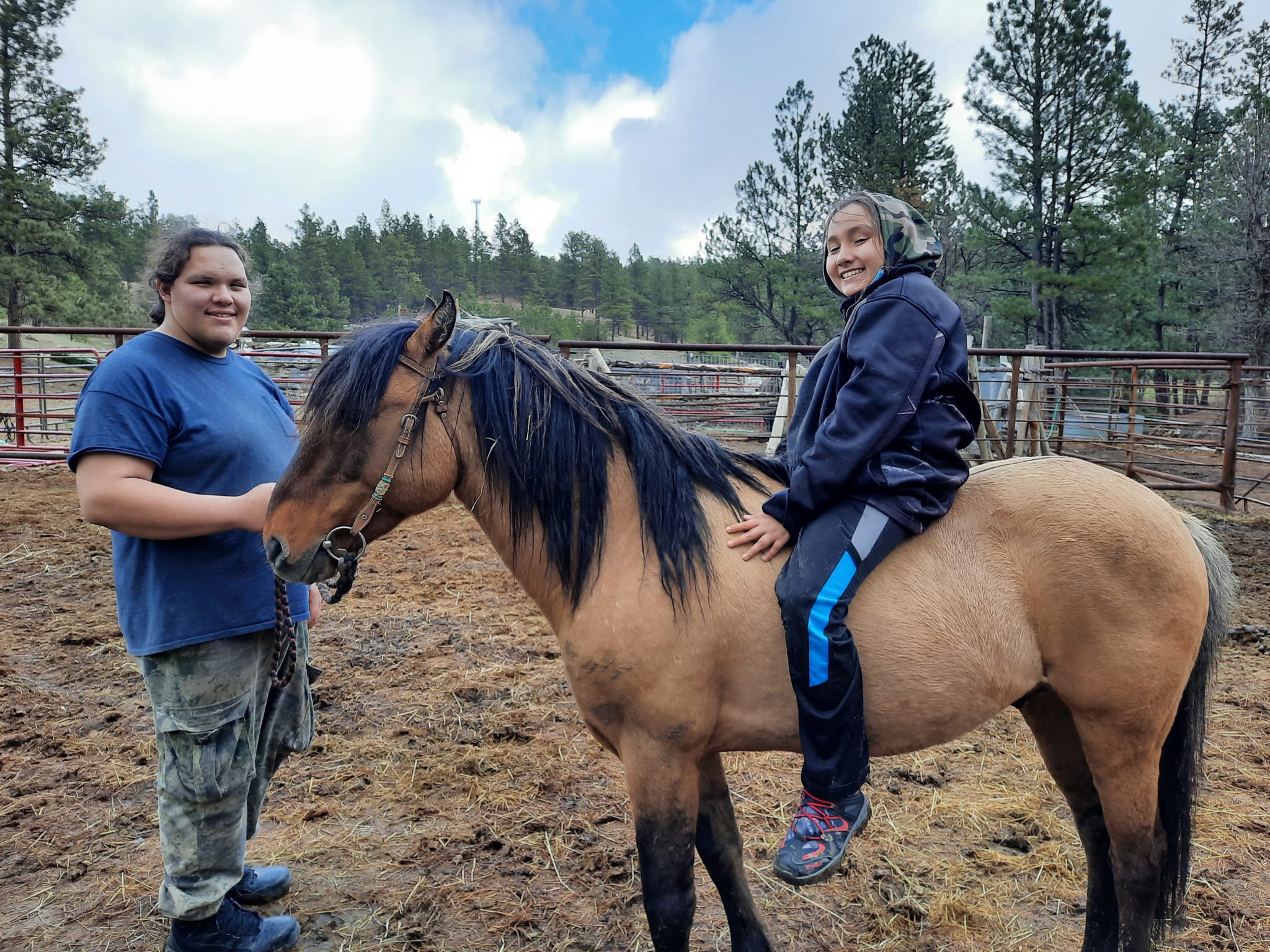 Meet the Herd – Paha Ponies